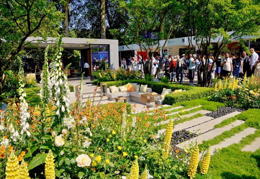 Top 10 Must-Do Activities in Chelsea