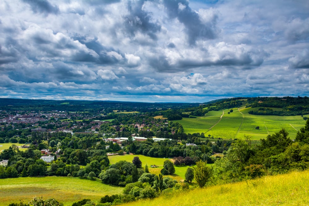 Fun Facts About North Surrey